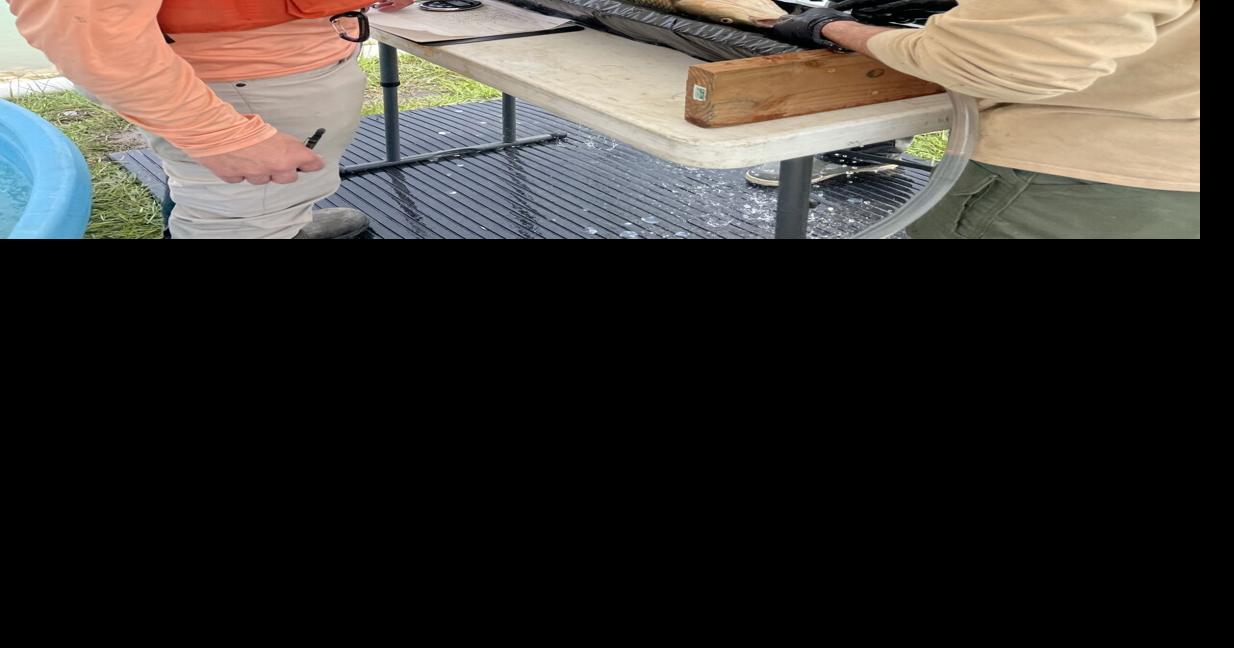 Research helps safeguard Great Lakes