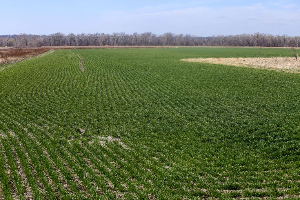 Following a Field 2024 - Iowa