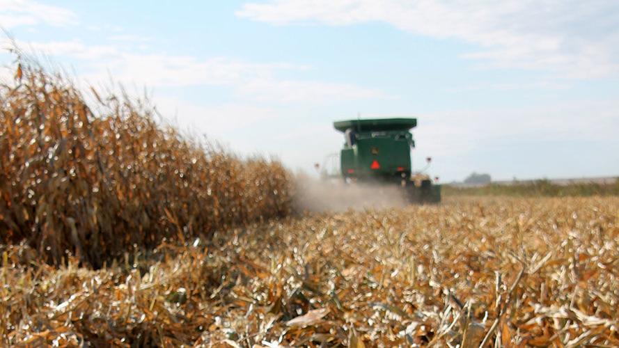Harvest is time for reflection, planning