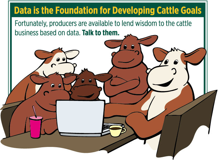Data can help guide farm and ranch decisions