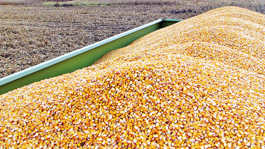 NCGA announces 2017 corn yield contest winners