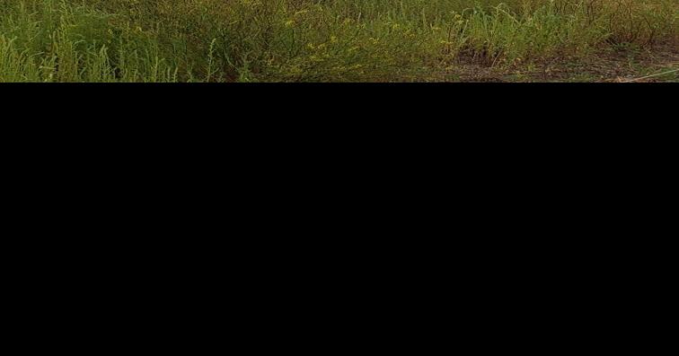 Kansas Winter Grazing Conference features Alberta rancher