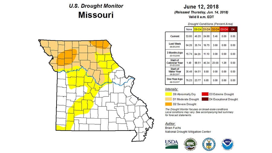 In Missouri drought, some feed tree leaves