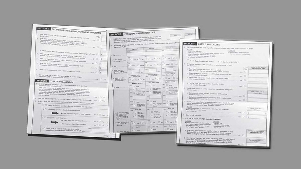 2022 Census of Agriculture now underway