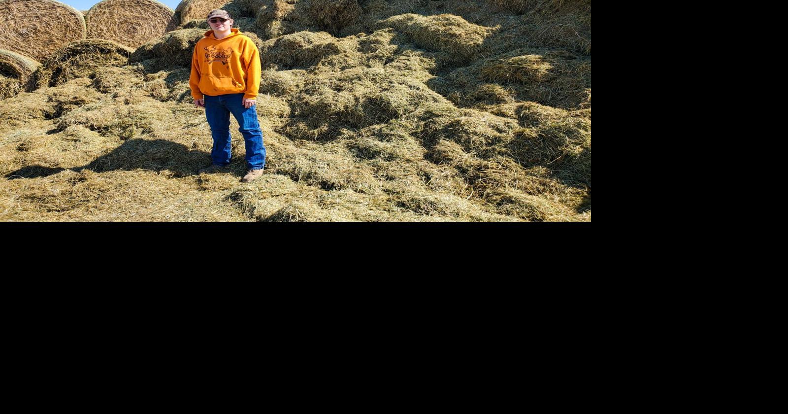 Preserve quality of high-moisture hay