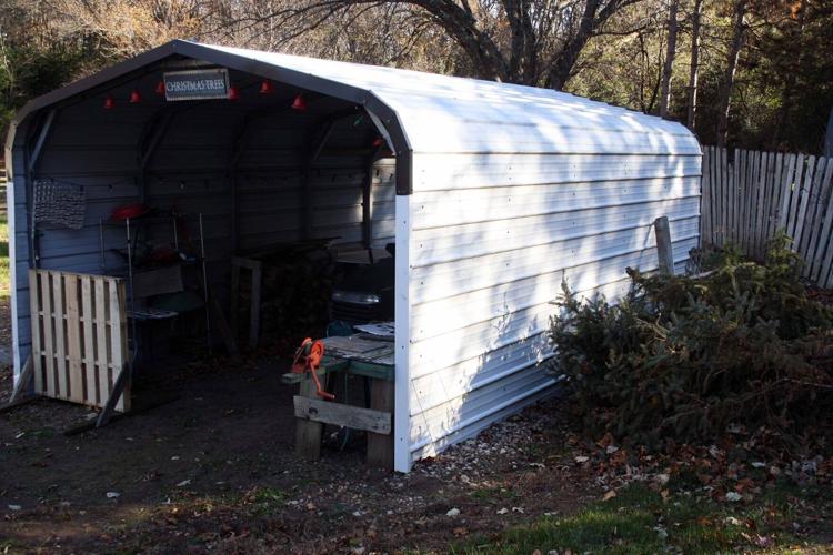 Tree farm celebrates 50 years