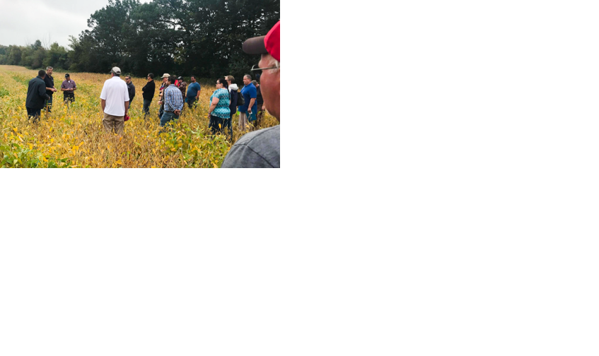 Cover-crop adoption doubles in network