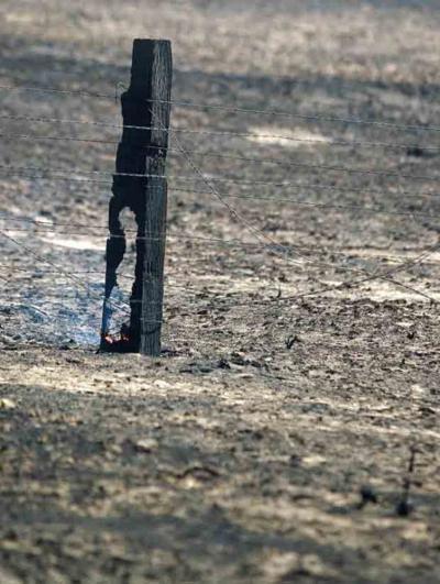 Regenerating growth post-fire in fields and pastures