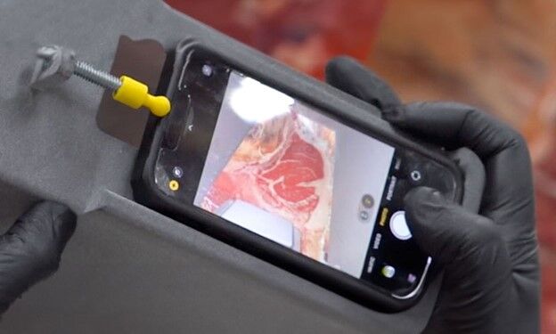 Remote meat grading pilot program could increasing marketing options at ...