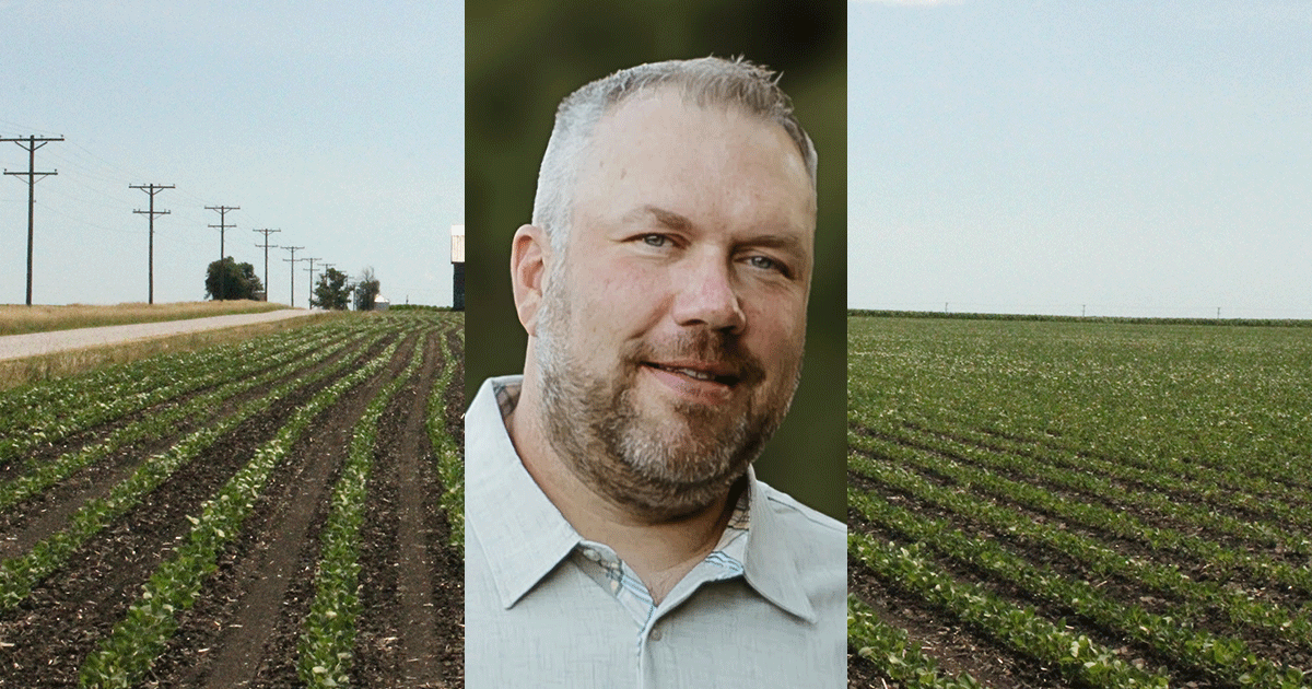 John Tiedeman, Northwest Iowa CropWatch