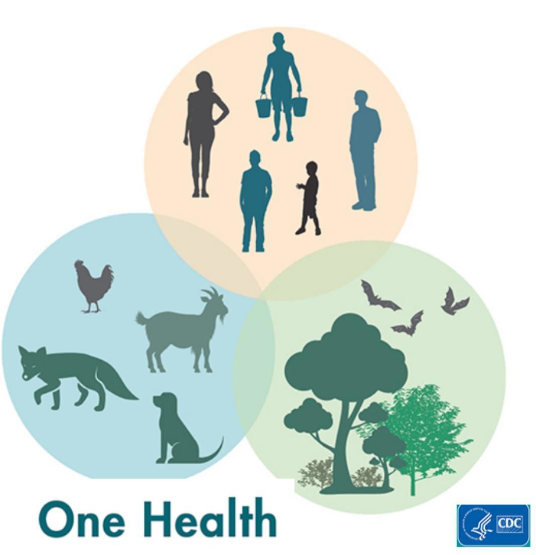 One Health graphic