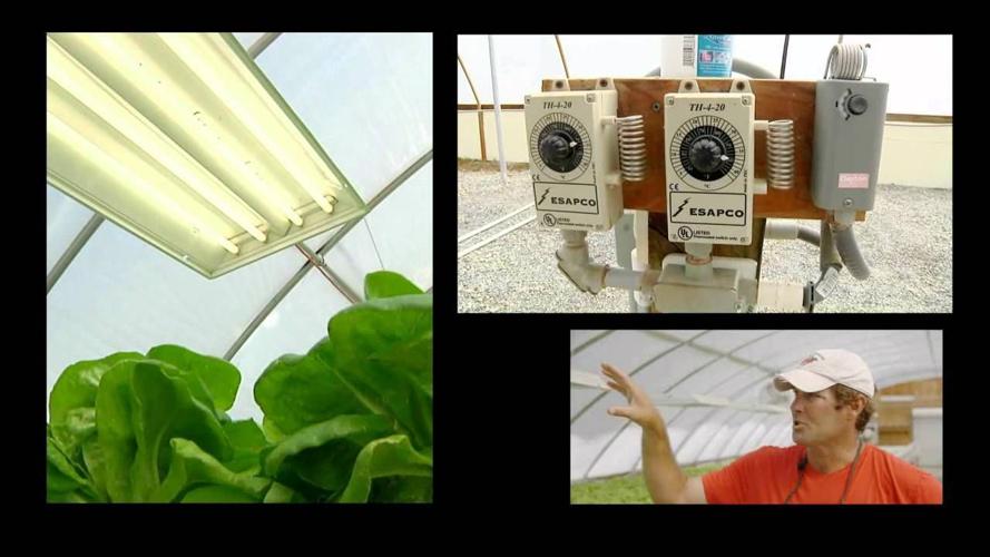 DeLaval opens Hamra Farm to world