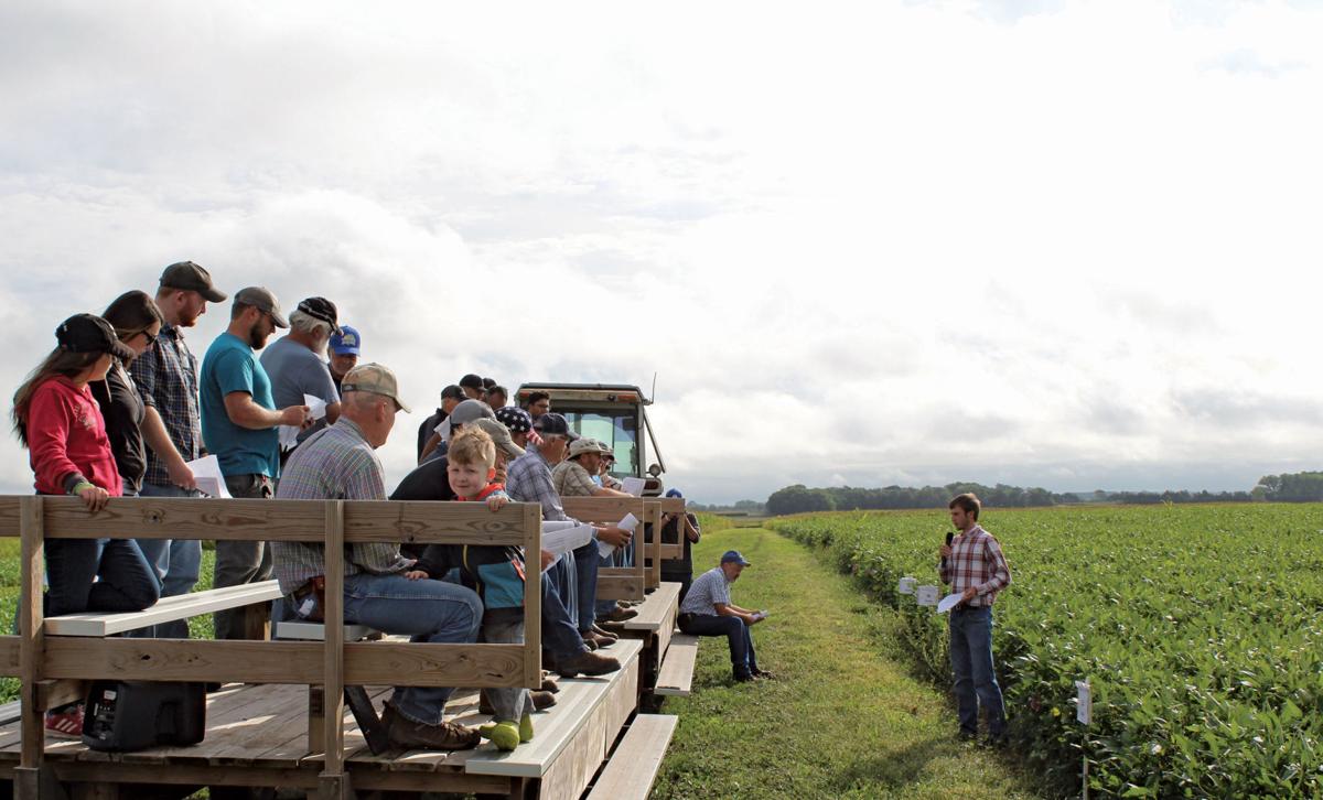 Why rye? Research farm studies rye for soil health, cash cropping