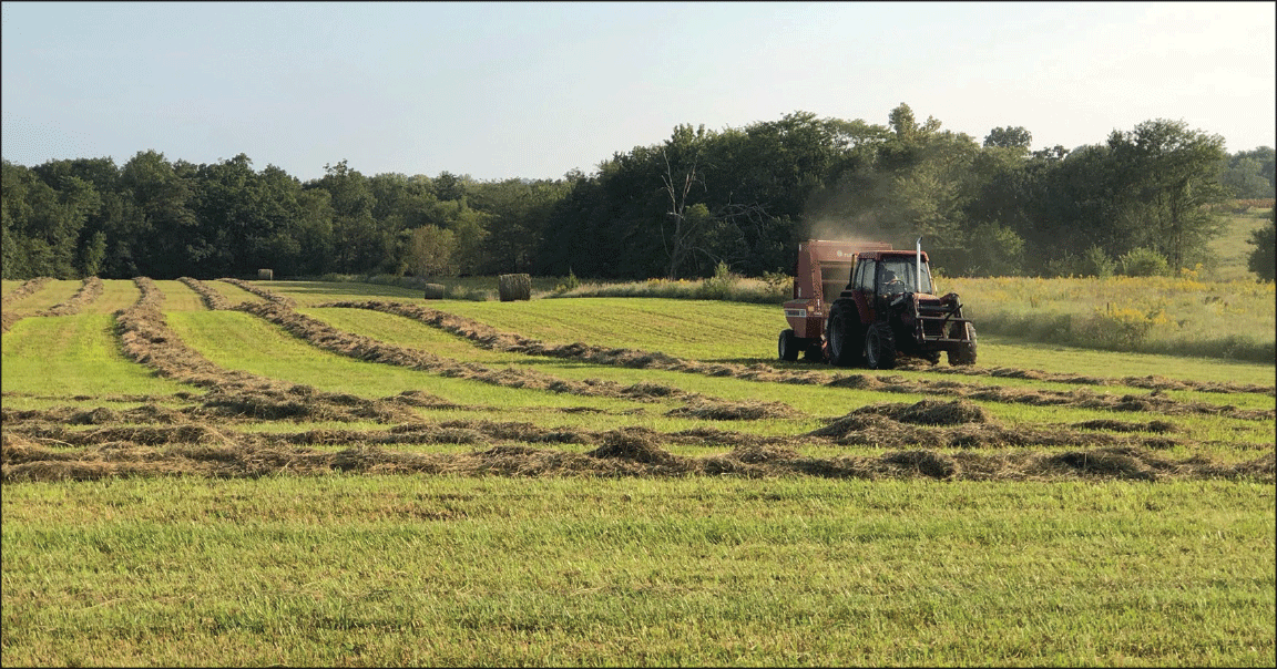 Handy hay equipment tips