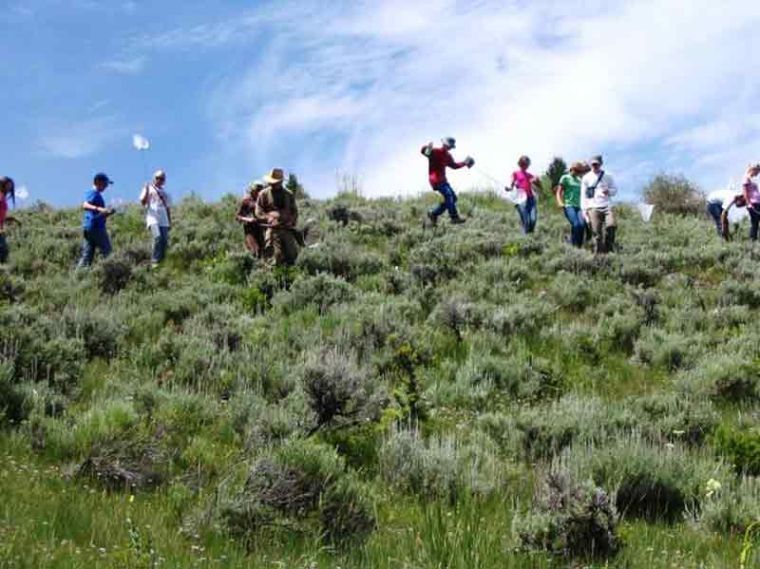 Summer field trips offered for middle school students