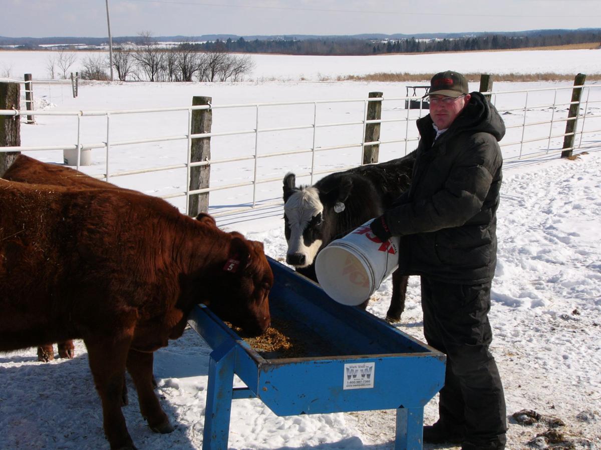 Market Forecaster: One more rally in cattle may be possible