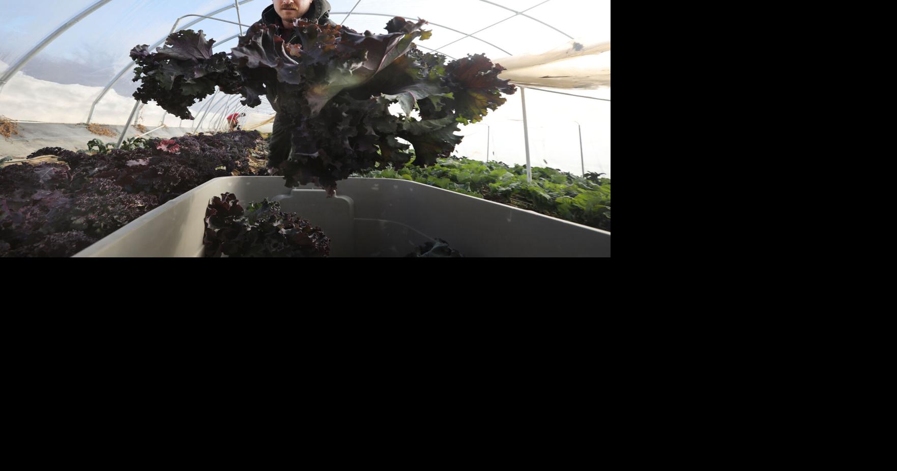 Cold farming makes for warm hearts