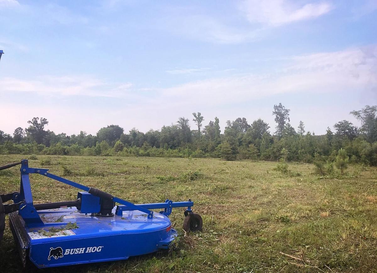 Bush Hog in the wild: 70-plus years of taming the land