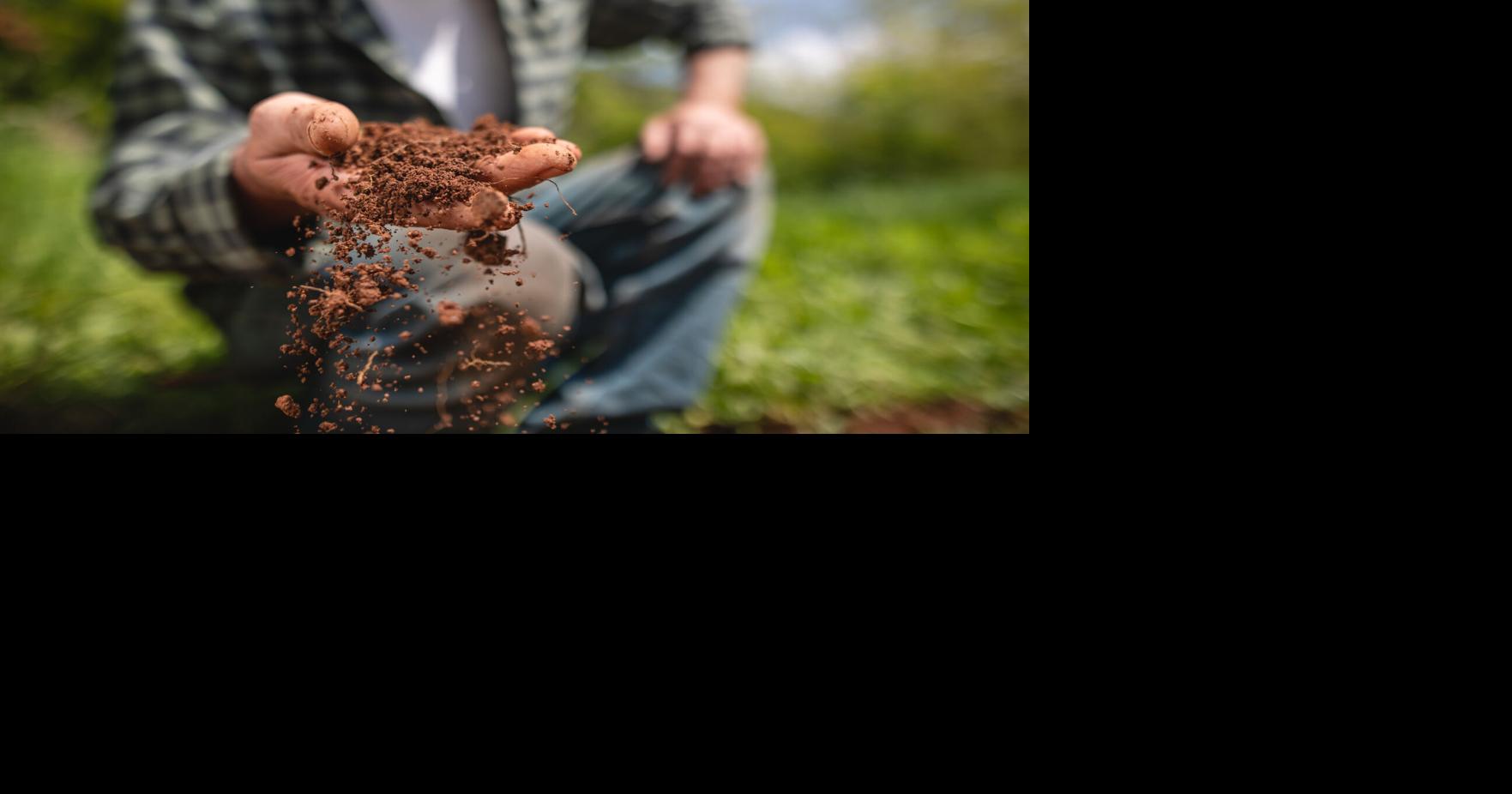 Soil health versus soil tilth: What's the difference and why do they ...
