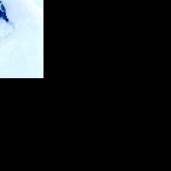 Beware continuing roller coaster