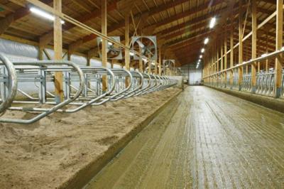 Cow Comfort Risk Assessment eases Achenbach’s expansion