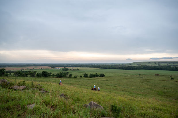 Beef done right: Dalebanks Angus earns seedstock honors from Certified ...