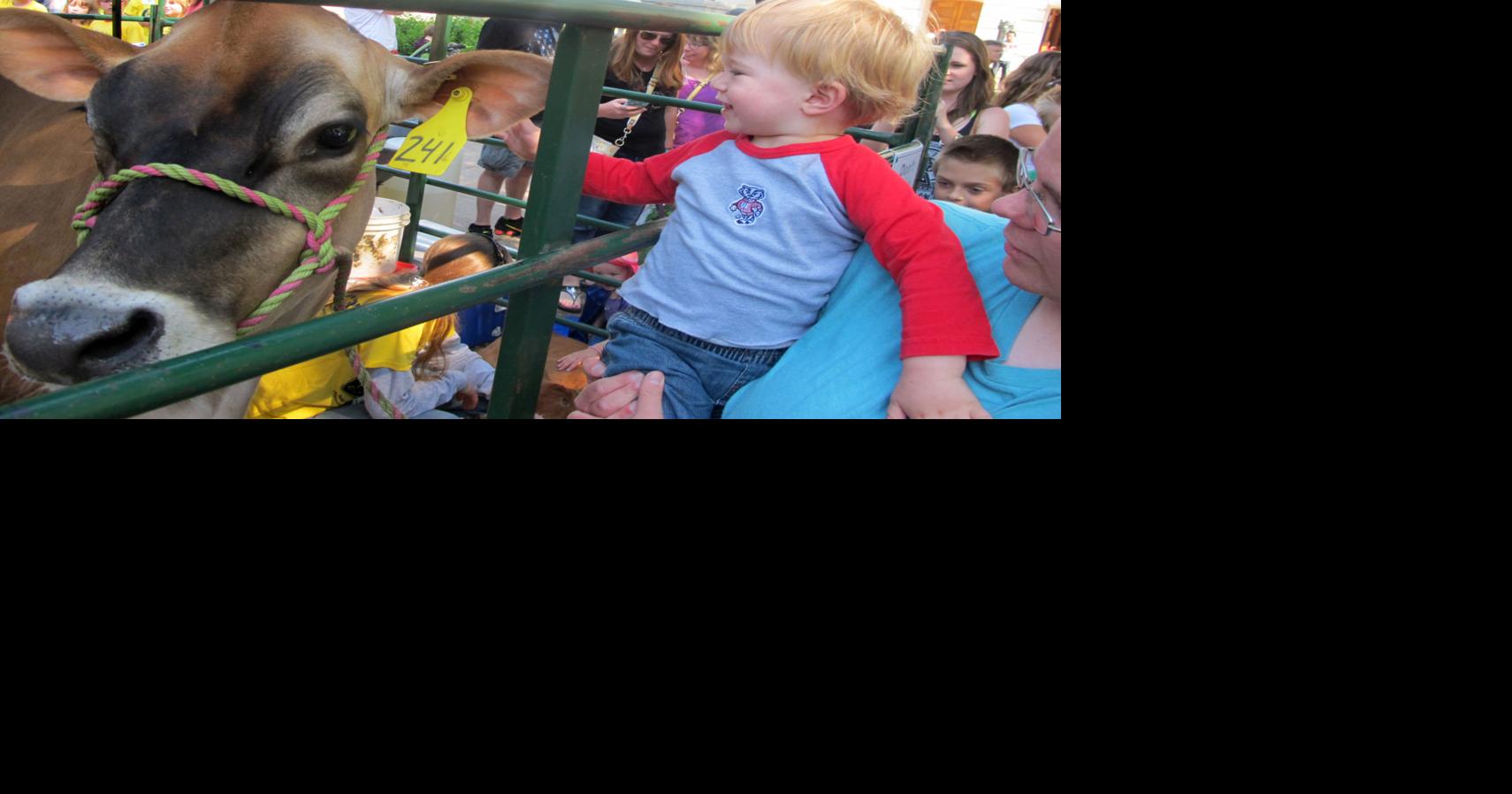 Kids and cows share dairy magic