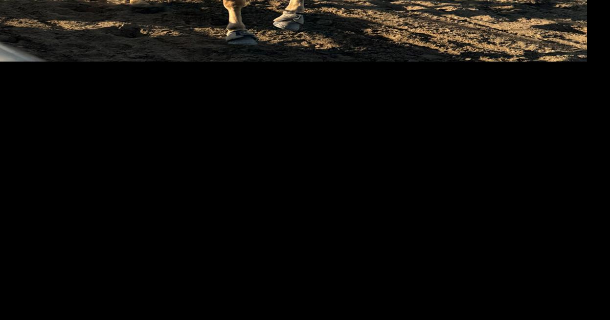 rodeo queen 2.jpg