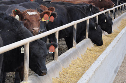 JBS appoints 84-year-old Batista family patriarch as new CEO