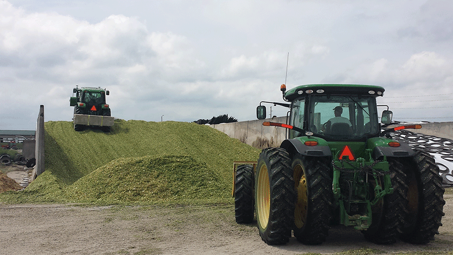 Sample forage correctly to fill nutrient needs