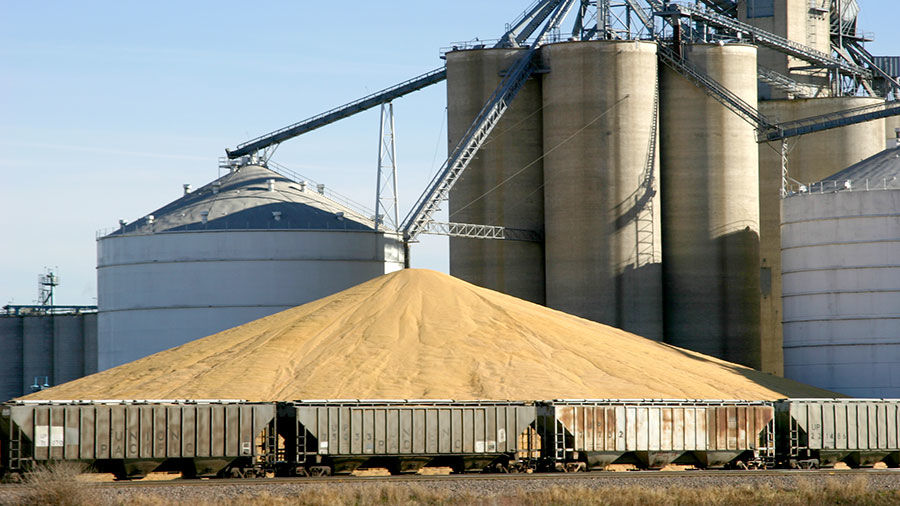 U.S. growers ‘out-produce’ usage in tough global market