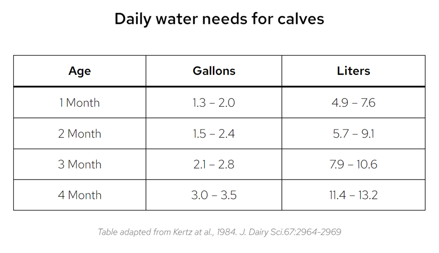 Water critical for dairy calves