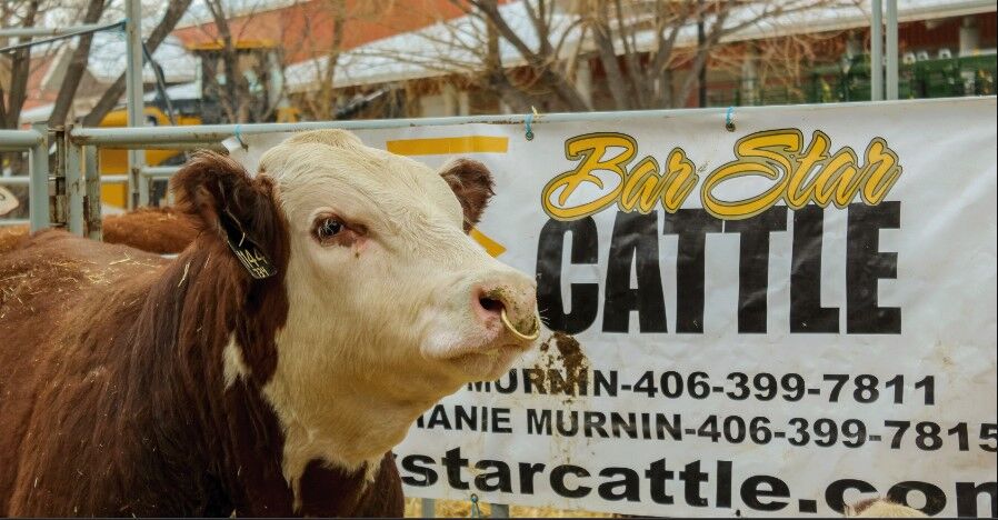 MATE show offers agriculture, health and home options