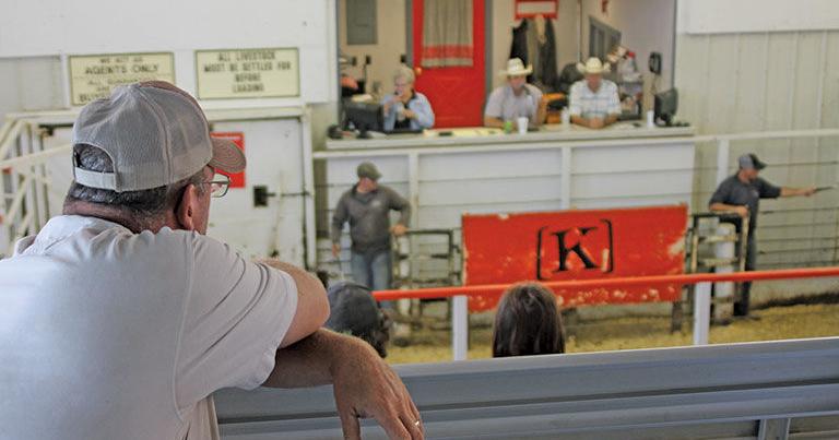 Bill aims to educate ranchers on risk management