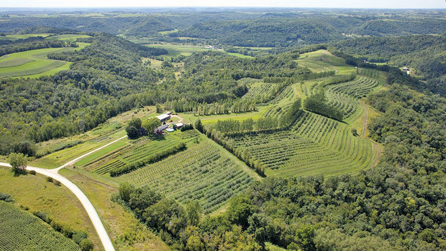 Silvopasture brings weather relief for herd, soil benefits