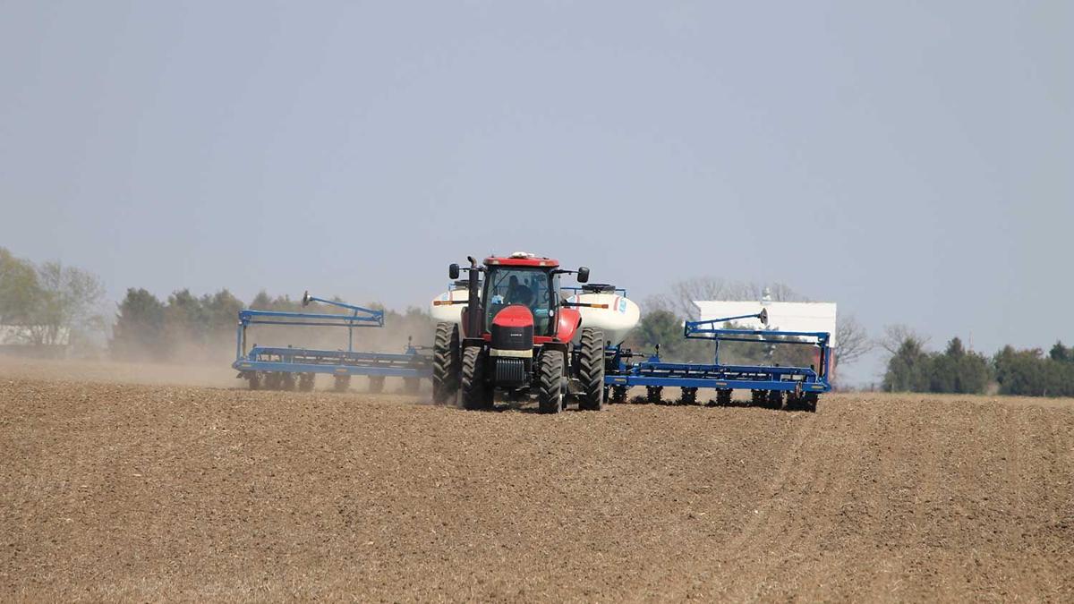 Despite equipment delay, early Central crops look good