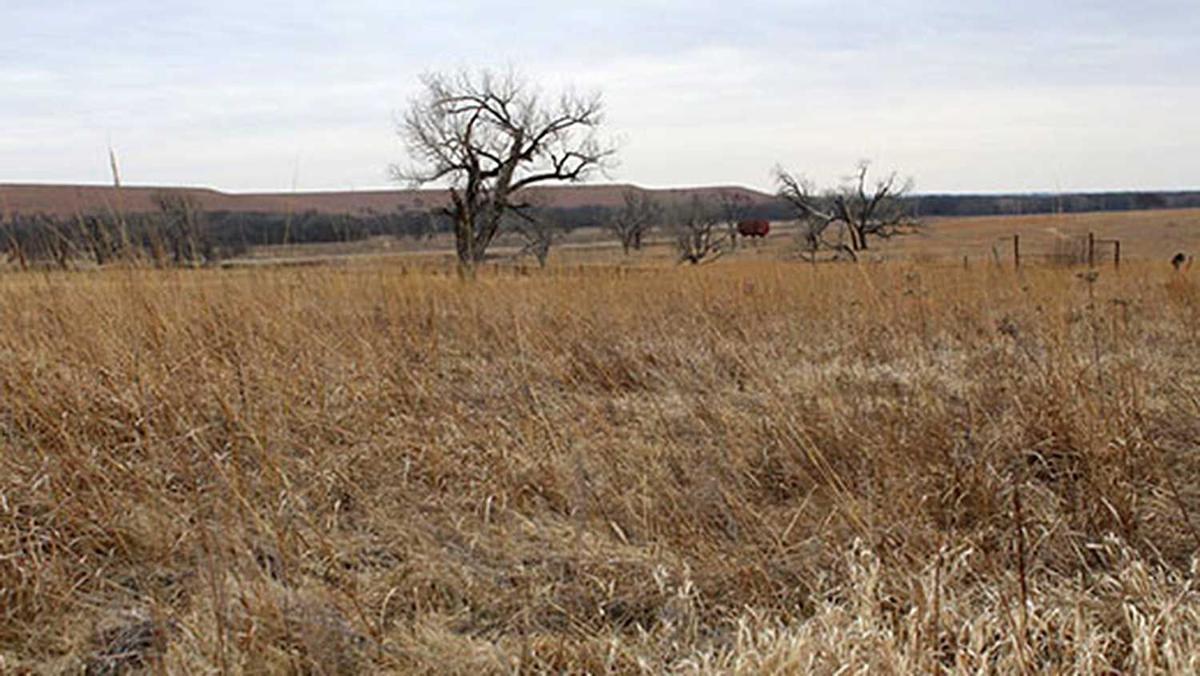 K-State researchers embark on study to preserve prairie health
