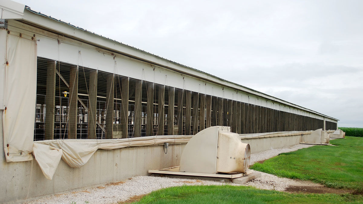 Statewide workshops address swine building maintenance