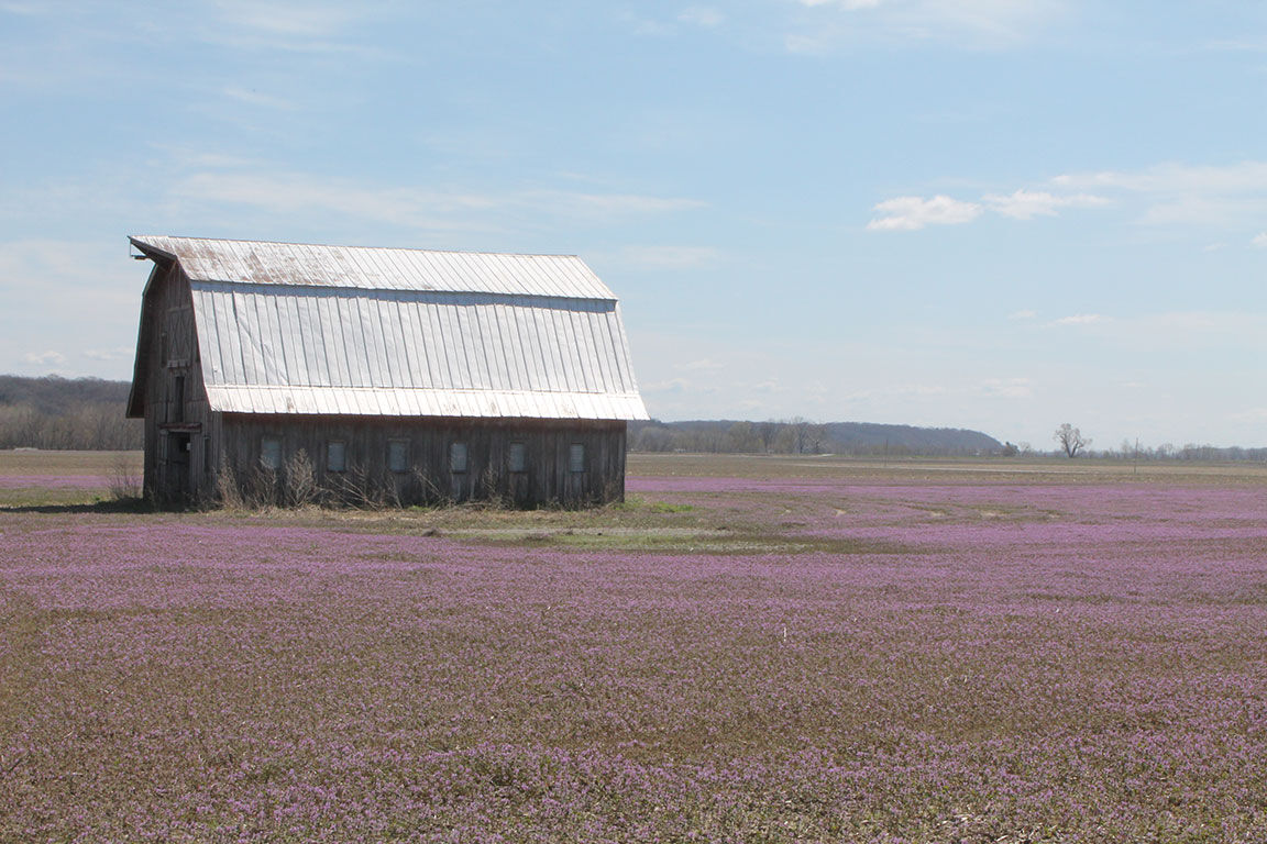 American Icon: Many factors go into barn restoration, repurposing