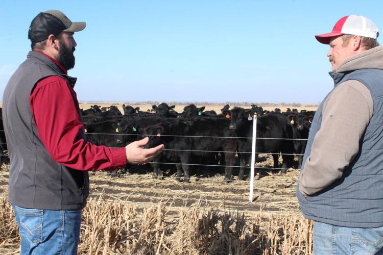 ranchers spring road