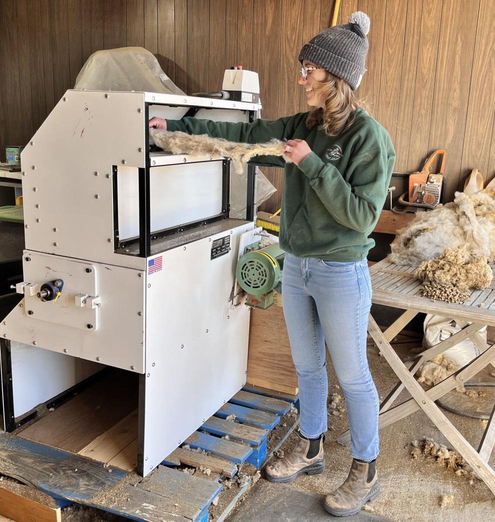 New shepherd in Nebraska pelleting wool for unusual fertilizer