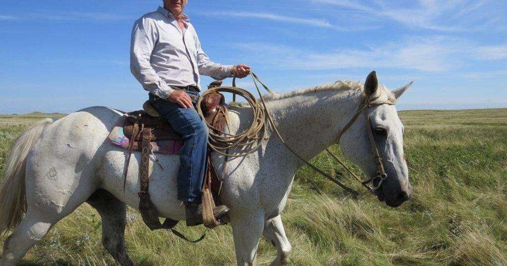 Always evolving: Northern South Dakota ranch stays nimble by ...