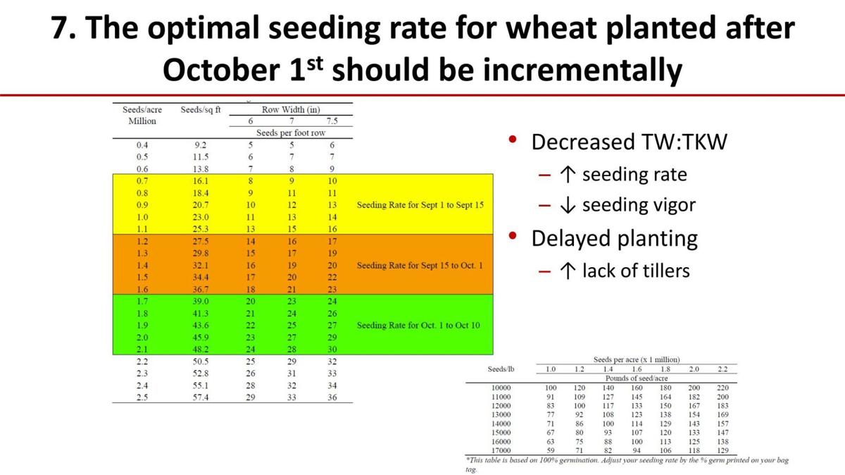 Time to plant winter wheat
