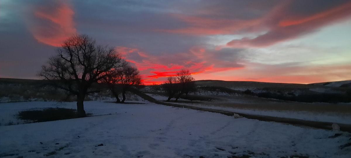 Herman ranch enduring snow, cold temperatures
