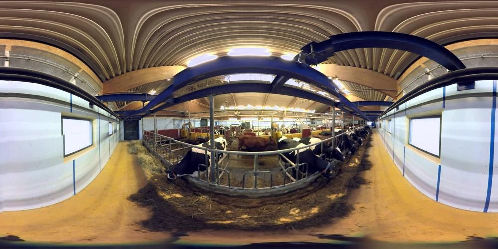 DeLaval opens Hamra Farm to world