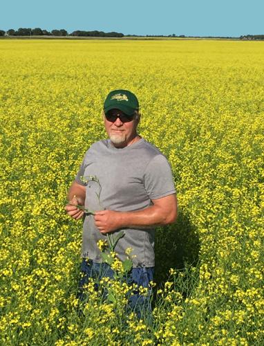 Greg Busch hopes to soon start harvesting field peas