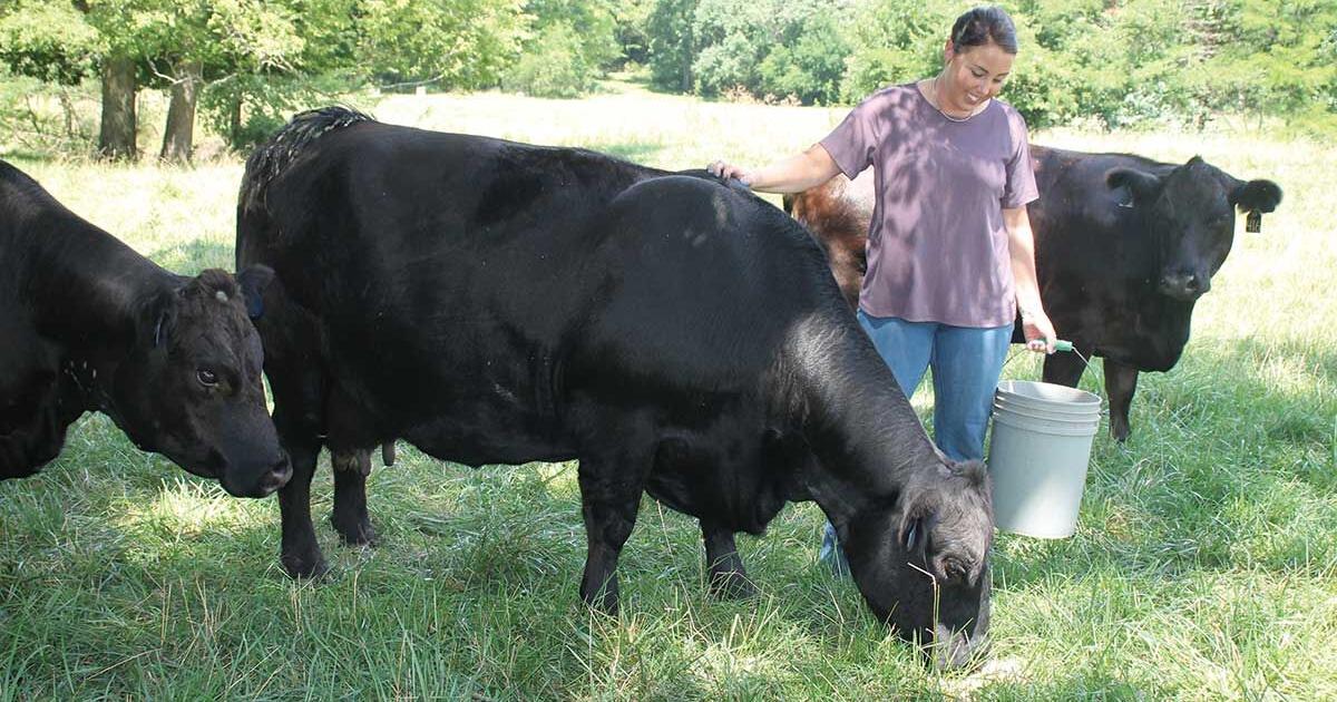 Young farmers rely on tech, communication and core values