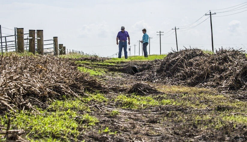 Disaster assistance finally begins