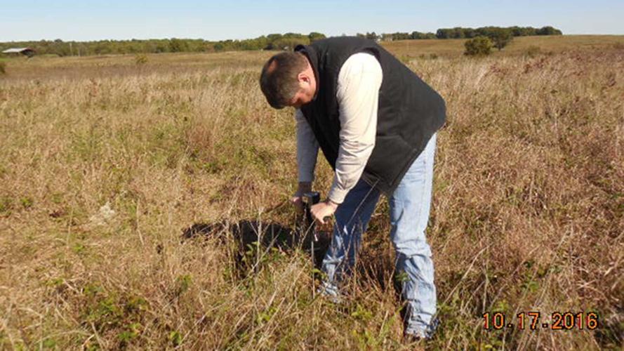 Forage testing equals good management
