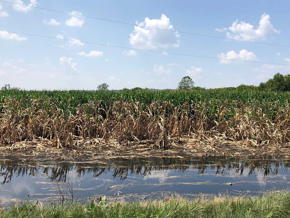 Rivers provide trade-off with unpredictable floods, fertility